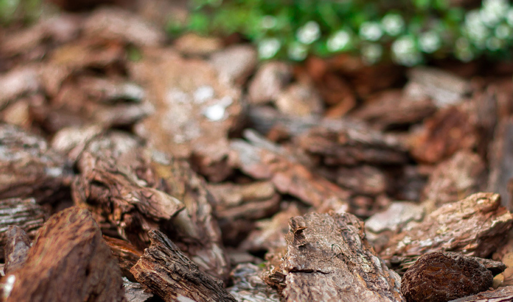 Landscaping Top Soil Wellington - Organic Bark Hutt Valley
